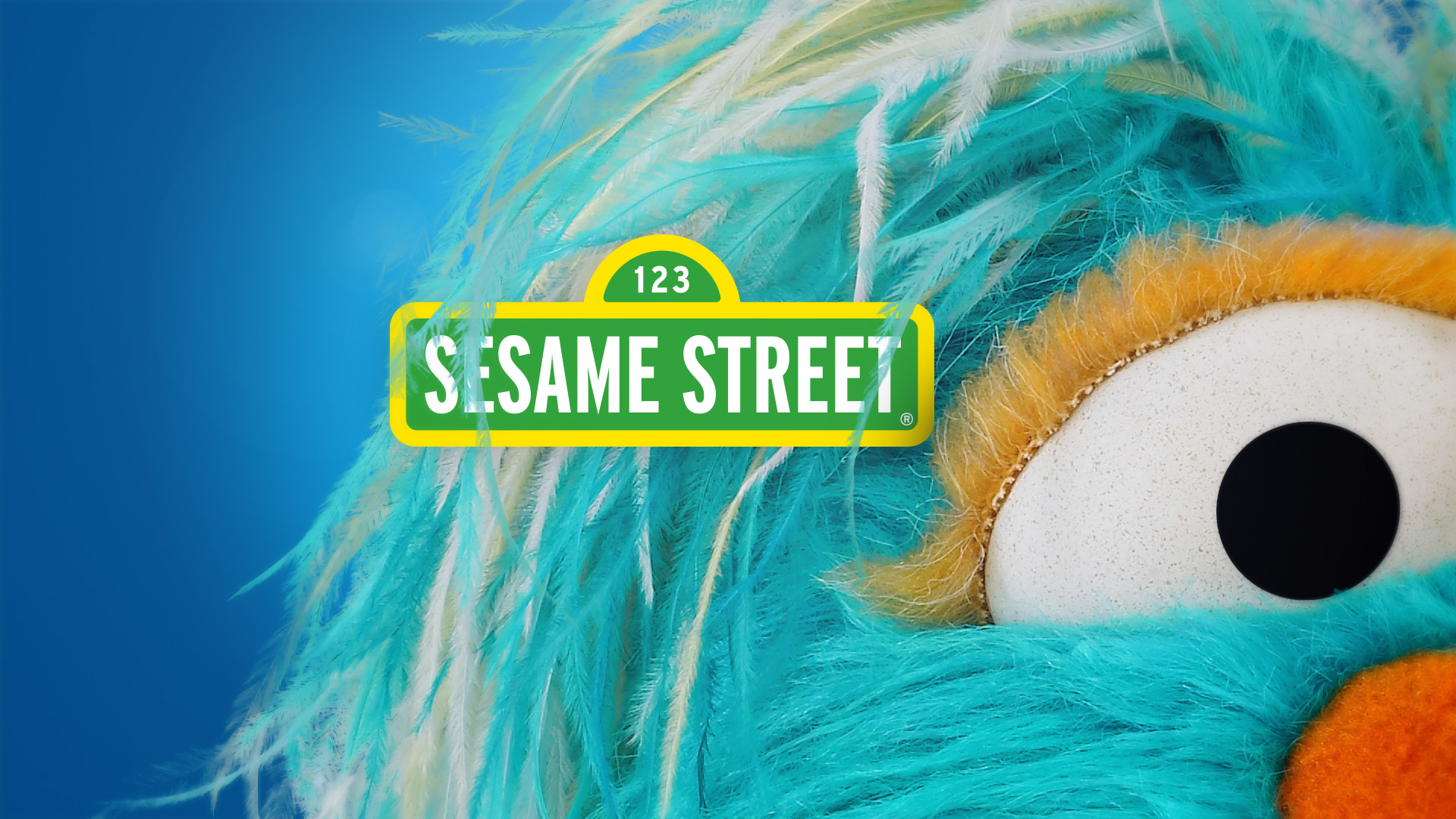 Sesame Street global graphics toolkit design | KIELY DESIGN