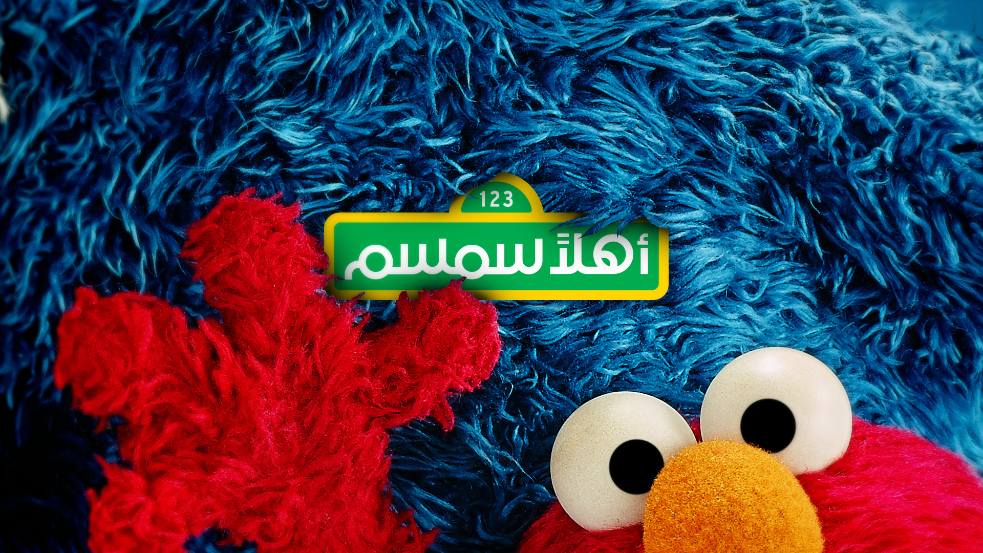 Sesame Street global graphics toolkit design | KIELY DESIGN
