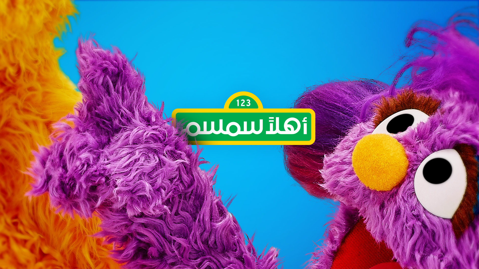 Sesame Street global graphics toolkit design | KIELY DESIGN